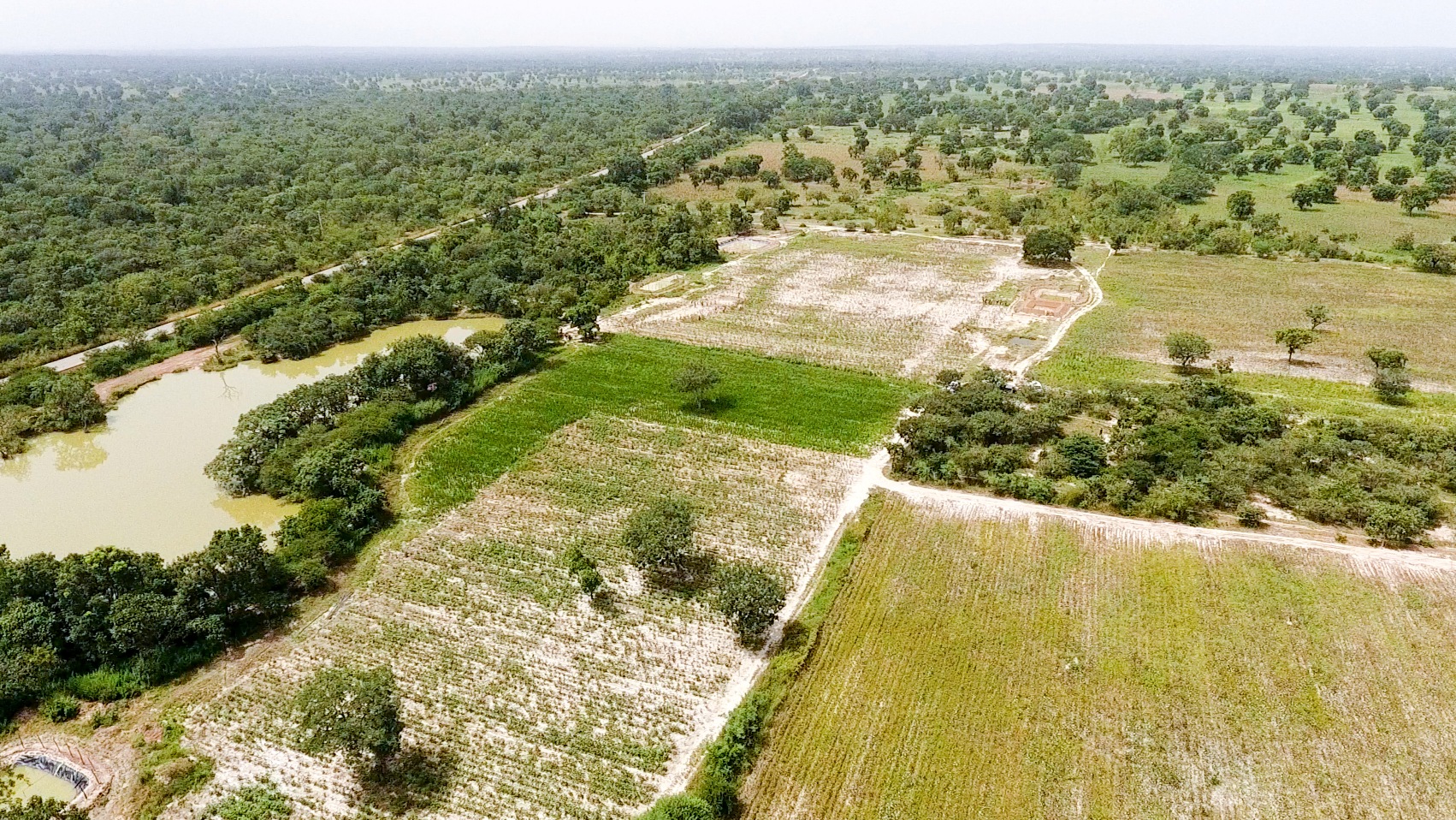 PRAPS 2 SENEGAL – Projet d'Appui au Pastoralisme au Sahel Phase 2